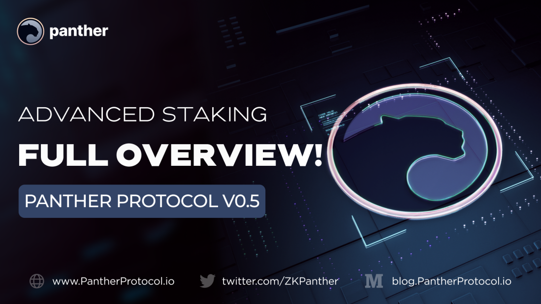 Panther’s v0.5 from A to Z: A Full overview Panther’s v0.5 from A to Z: A Full overview