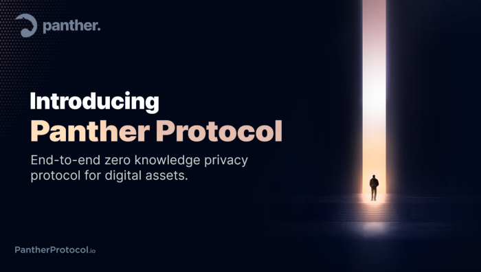 What is Panther Protocol? Why does it exist?